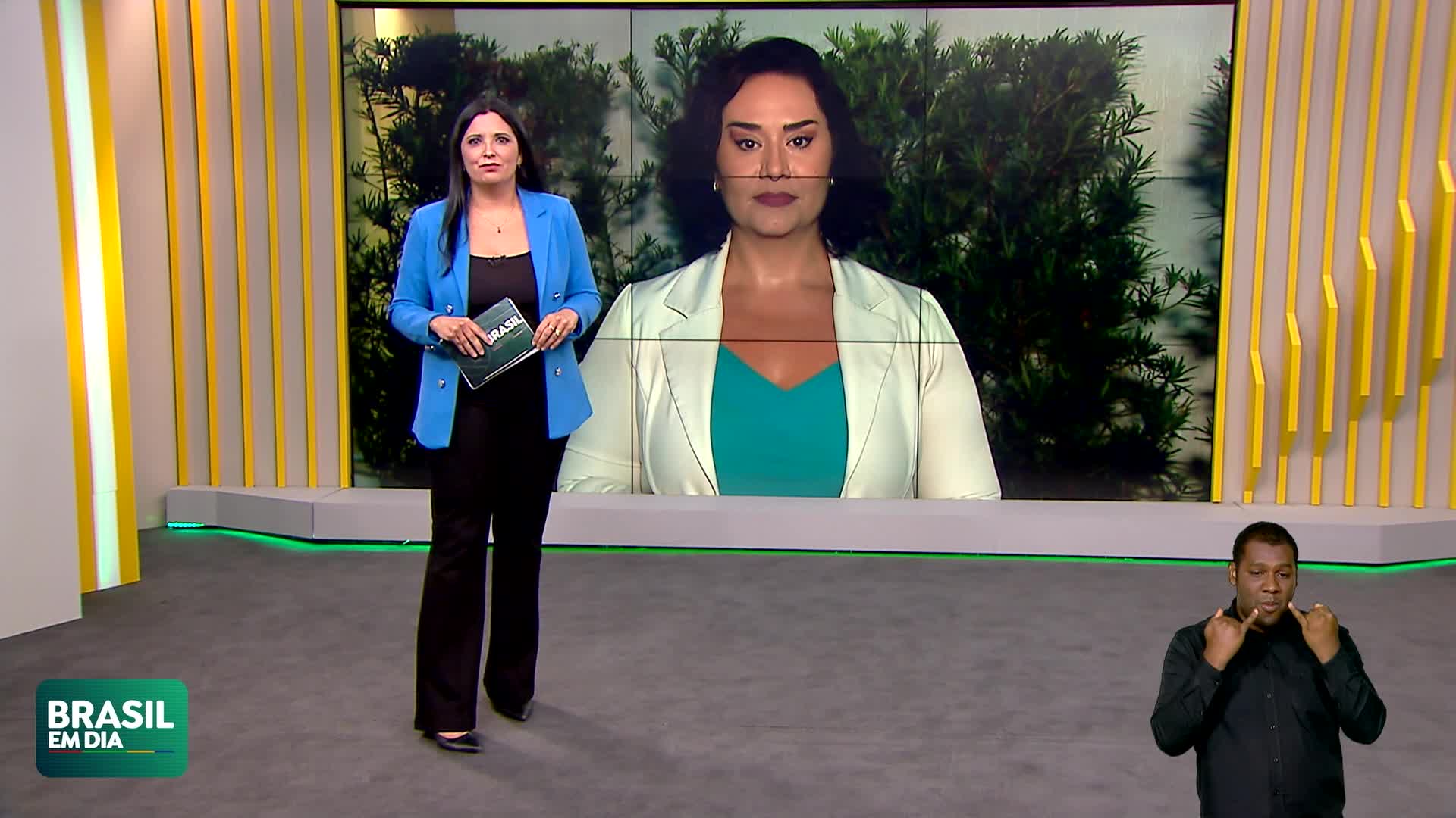 Brasil em Dia - 02/04/24 - Completo — Canal Gov